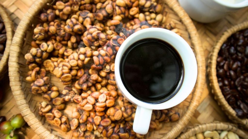 INDONESIAN COFFEE CULTURE: EXPLORING THE ORIGINS OF KOPI LUWAK AND MORE ...